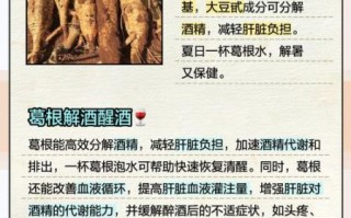 葛根的功效与作用及禁忌_葛根泡水喝的正确方法