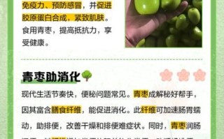 青枣什么人不能吃_青枣禁忌人群有哪些