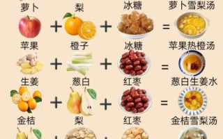 食疗养生吃什么好_如何通过食疗调理身体