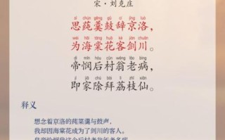 荔枝的拼音怎么拼_荔枝的拼音声调怎么读