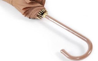 best_umbrella_for_wind_and_rain