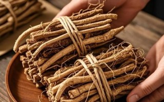 五指毛桃煲汤放多少_五指毛桃用量多少克