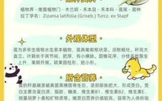 吃茭白的好处和坏处_哪些人不能吃茭白