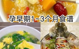 刚怀孕吃什么好_孕妇初期食谱推荐