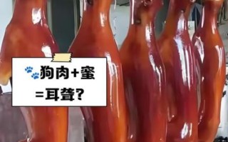 狗肉不能和什么一起吃会中毒_狗肉相克食物有哪些