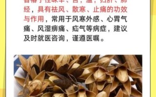 香椿子有什么功效_香椿子怎么吃效果最好
