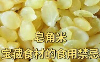 皂角米什么人不能吃_皂角米功效与禁忌