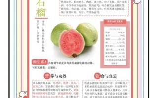 番石榴什么人不能吃_孕妇和肾病患者能吃吗