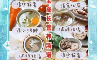 儿童炖盅炖汤食谱大全_宝宝炖汤用什么锅最好