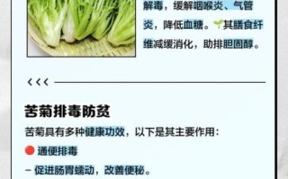 苦菊的功效与作用有哪些_苦菊的营养价值高吗