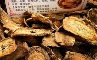 牛蒡根泡水有什么功效_牛蒡根泡水禁忌有哪些