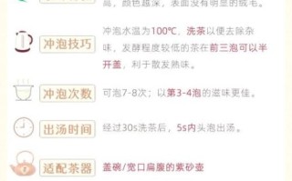普洱茶怎么泡才正确_普洱茶冲泡水温多少度