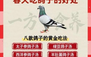 怎么炖鸽子汤好喝_鸽子汤去腥增香的秘诀