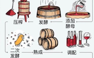 山葡萄酒怎么酿_山葡萄酒酿制方法详解