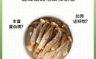 鹿茸的功效与作用吃法_鹿茸怎么吃效果最好