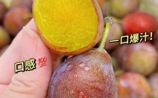 西梅app是什么_西梅app怎么用