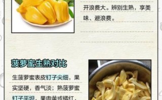 菠萝菠萝蜜菠萝菠萝1是什么_如何快速记住