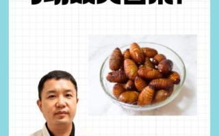 蝉蛹的功效与作用女性_女人吃蝉蛹有什么好处