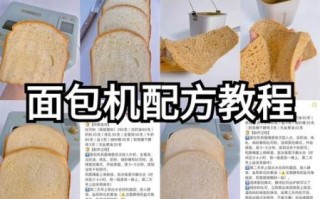 自动面包机做面包的详细步骤_面包机做面包需要多长时间
