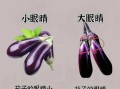蔬菜图片识别方法_如何挑选新鲜蔬菜