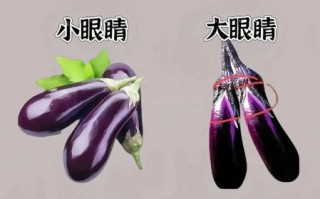 蔬菜图片识别方法_如何挑选新鲜蔬菜
