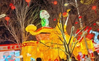 正月十五夜灯怎么玩_元宵节灯会去哪看