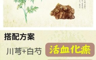 川穹和川芎一样吗_川穹与川芎的区别