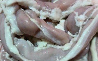 粉肠和小肠的区别_哪个更好吃