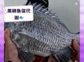 黑鲷鱼怎么做好吃_清蒸黑鲷鱼的做法步骤