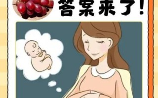 孕妇能吃葡萄吗初期_怀孕前三个月吃葡萄安全吗