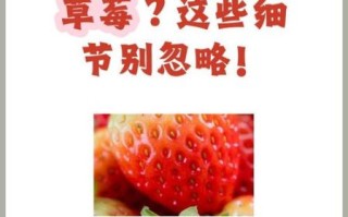 糖尿病能吃草莓吗_血糖高吃草莓注意事项