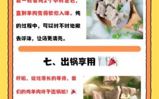炖羊肉汤三放三不放_怎么做不膻