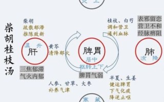 柴胡桂枝干姜汤方解_功效与作用