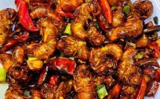 知了猴的功效与作用_知了猴怎么吃最补