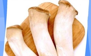 杏鲍菇不焯水有毒吗_杏鲍菇不焯水能吃吗