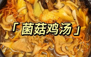 鸡肉菌汤怎么炖好喝_鸡肉菌汤的做法大全