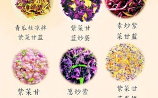 紫甘蓝怎么炒好吃_紫甘蓝炒菜做法大全