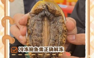 鲍鱼怎么清洗_鲍鱼清洗注意事项
