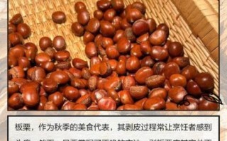 鲜板栗怎么去壳_鲜板栗内皮怎么剥