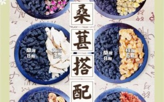 干桑葚最佳搭配_干桑葚怎么吃最养生