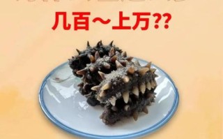 海参多少钱一斤_海参价格表2024最新行情