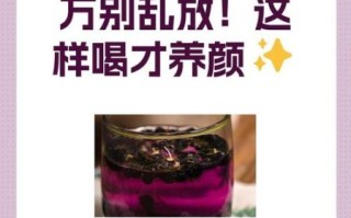 黑枸杞泡水一次放多少颗_黑枸杞一天喝几次最好