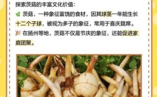 茨菇的功效与作用_茨菇的禁忌有哪些 茨菇的功效与作用_茨菇的禁忌有哪些