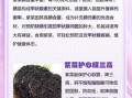 紫菜的营养价值_紫菜什么人不能吃