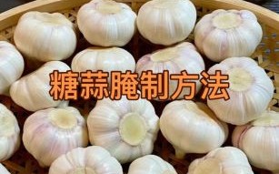 正宗糖醋蒜怎么做_糖醋蒜腌制多久能吃