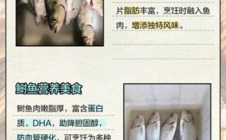 鲥鱼是什么鱼_鲥鱼为什么那么贵