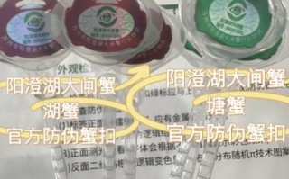 阳澄湖大闸蟹官网在哪_如何辨别真假