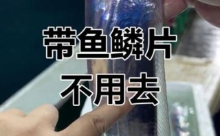 新鲜带鱼怎么处理_带鱼去腥技巧