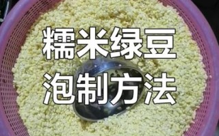 包粽子的绿豆要泡多久_绿豆泡多久才能包粽子