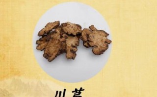 川芎的功效与作用是什么_川芎主治哪些疾病